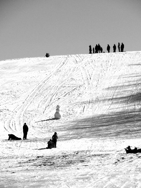 Family Day Fun! - The Millbrook Times