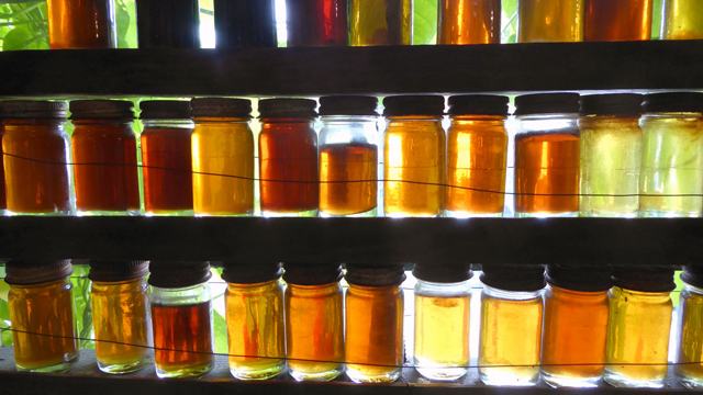 Local Syrup Producer Takes Visitors into the Woods to Tap for Syrup ...