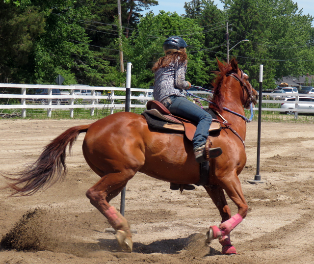 Celebrate Country at the Millbrook Fair! - The Millbrook Times