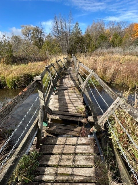 Trail Floating Bridge Replacement Approved - The Millbrook Times