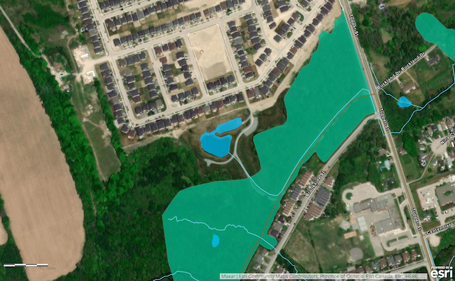 Baxter Creek Watershed's Natural Green Infrastructure - The Millbrook Times