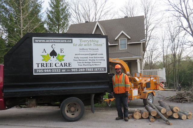 A.C.E. Tree Care - The Millbrook Times