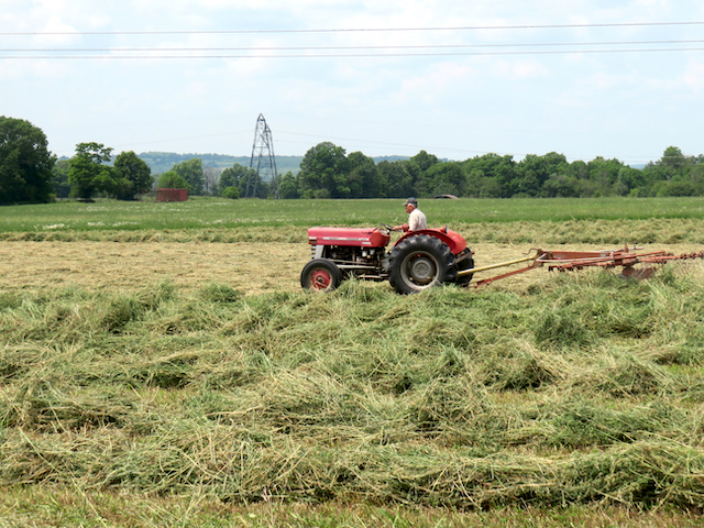 Make Hay While the Sun Shines - The Rest of the Story - The Millbrook Times