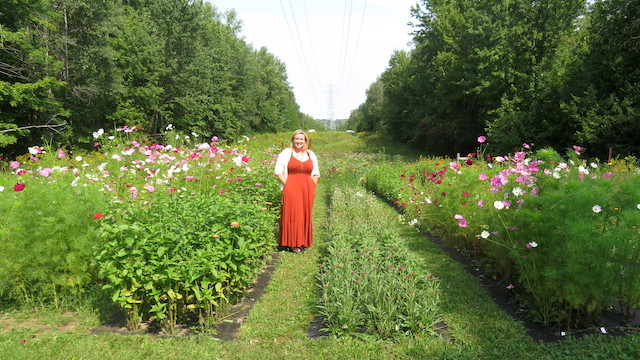Seeds, Rain and Hard Work Transform a Meadow into a Floral Sanctuary ...