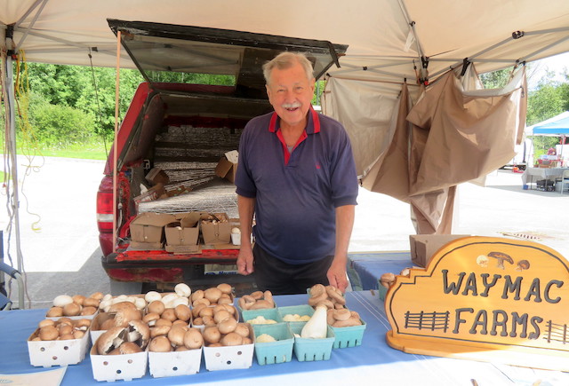 Waymac Mushrooms - The Millbrook Times