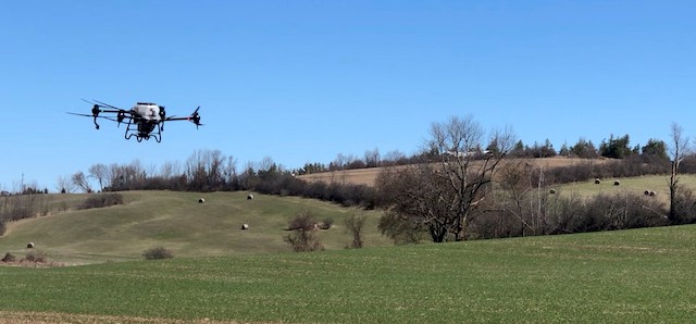 Woodleigh Farms Uses Traditional and Leading Edge Techniques to Find ...