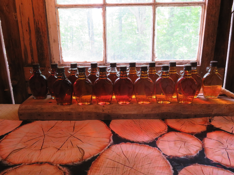 Plan Your Local Maple Syrup Tour April 5th and 6th - The Millbrook Times