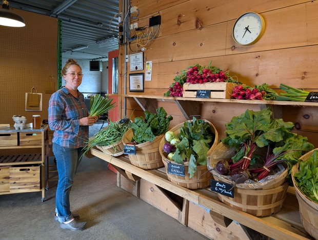 Fresh Produce At Circle Organic - The Millbrook Times