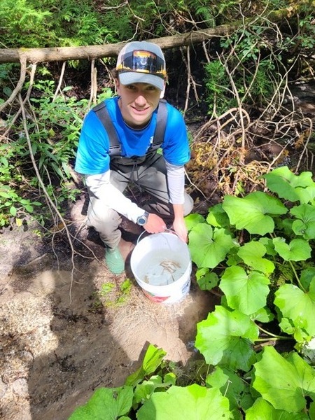 Brook Trout are back in Millbrook’s Jail Creek!! - The Millbrook Times